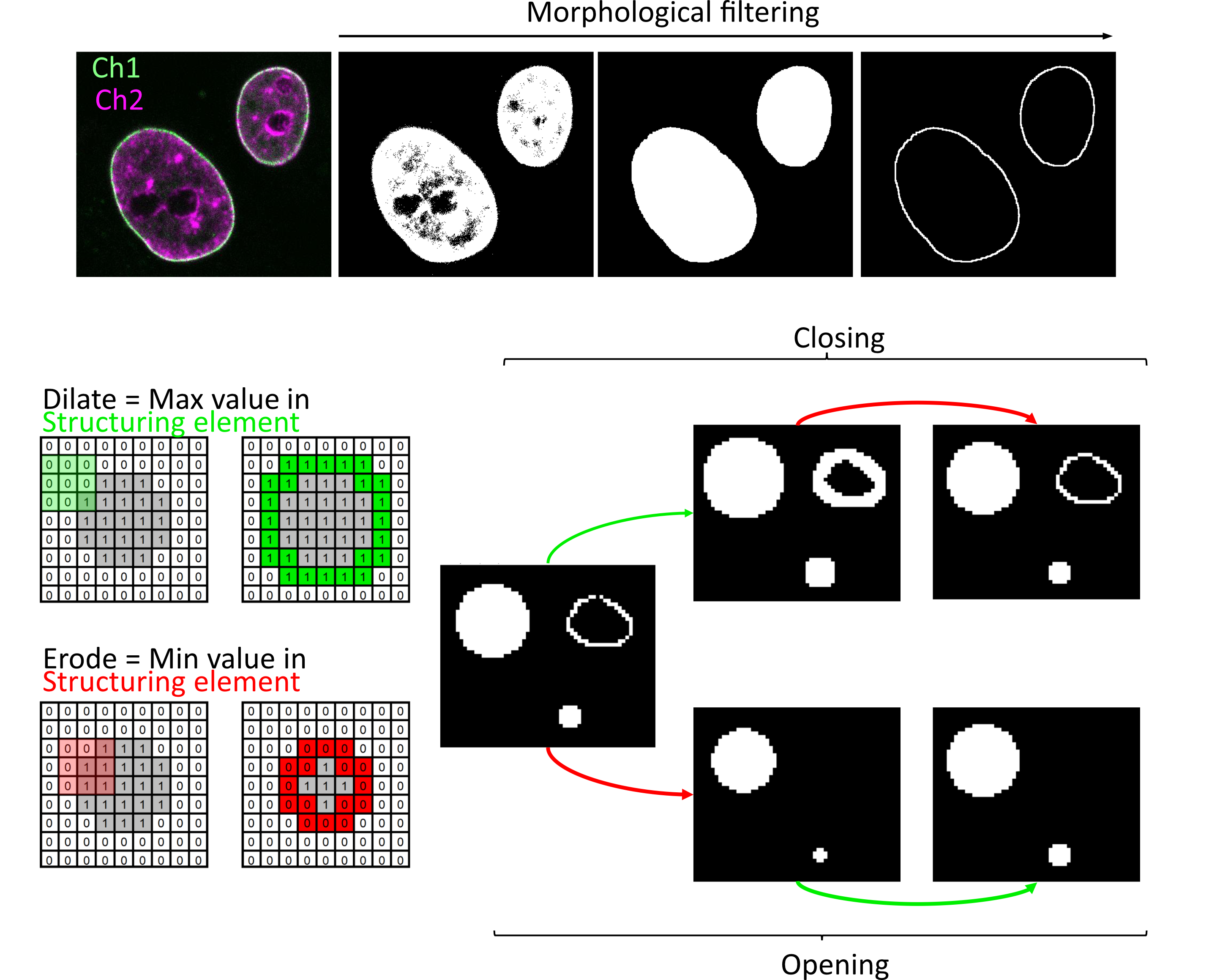 Morphological Filters Image Analysis Training Resources