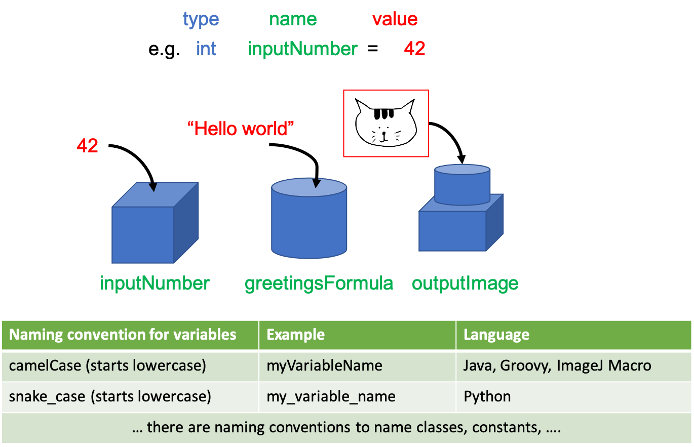 Variables Image Analysis Training Resources